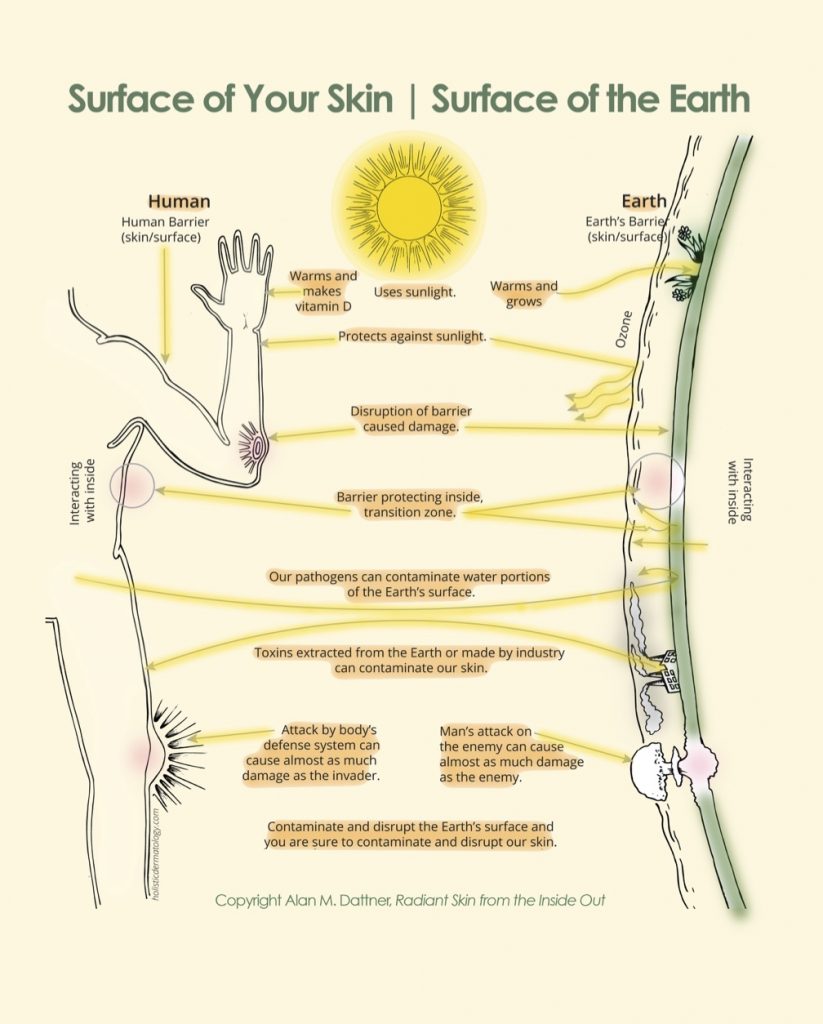 PARALLEL BETWEEN SKIN AND THE EARTH'S SKIN FINAL MODALICIA - Next Steps ...