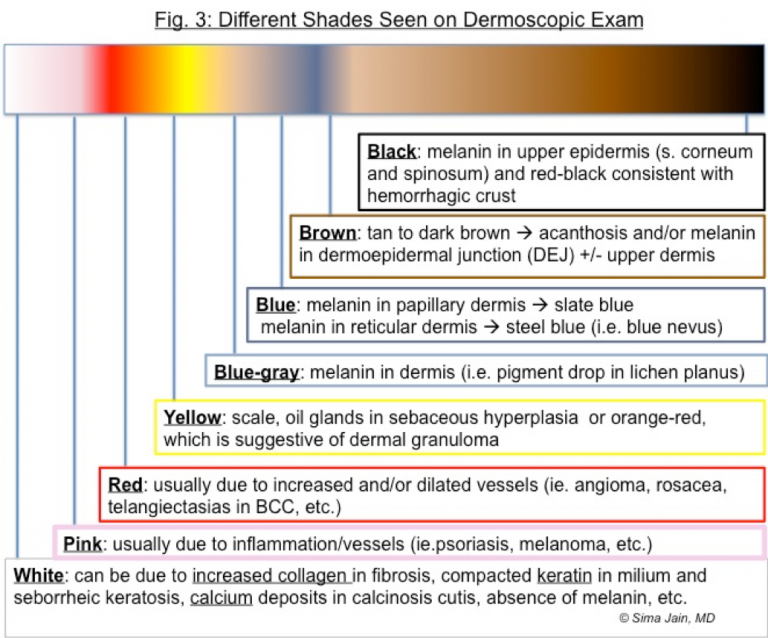 Practical Dermoscopy – Part 1 - Next Steps in Dermatology
