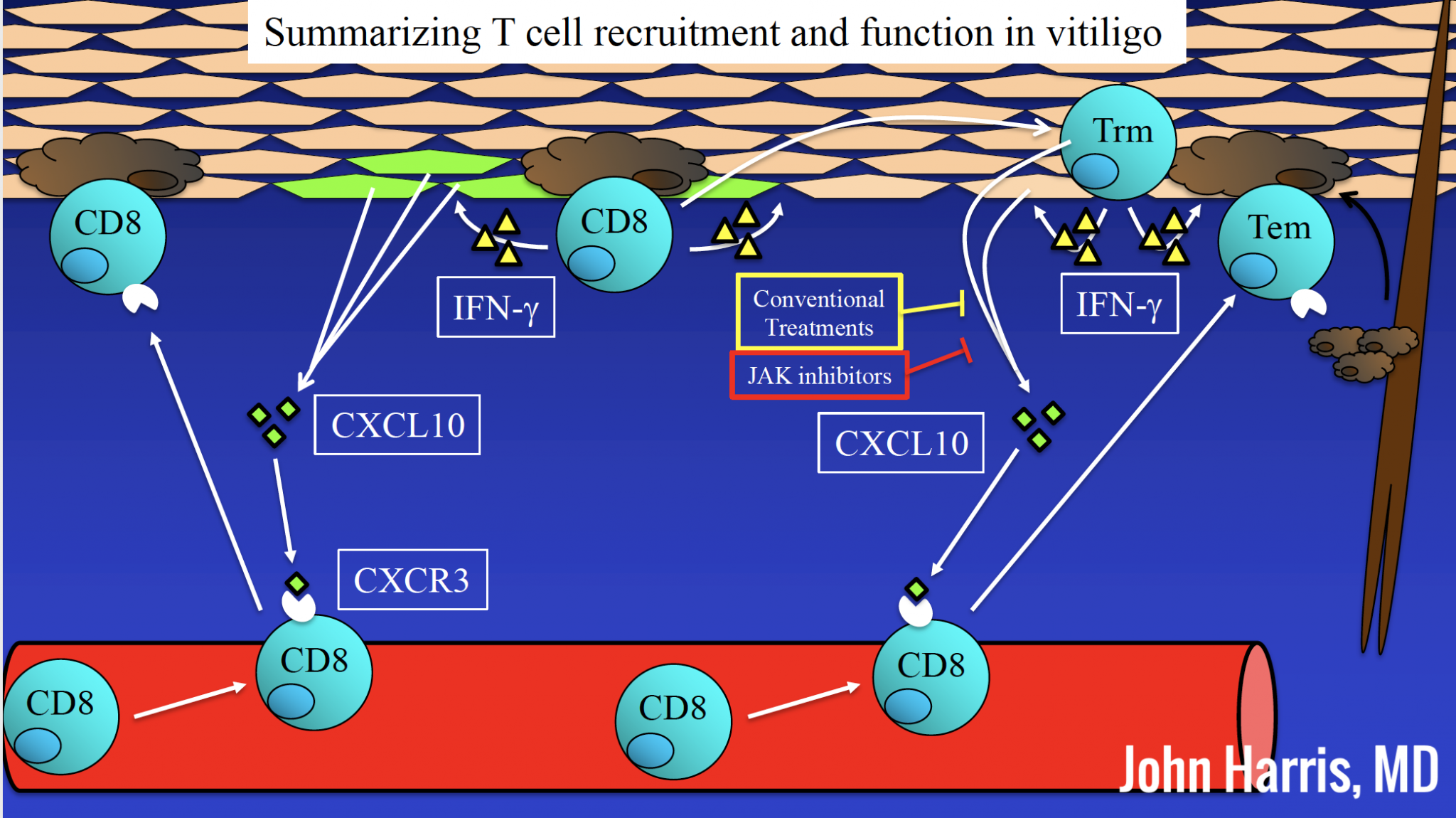 Current and Emerging Management Strategies for Vitiligo - Next Steps in ...