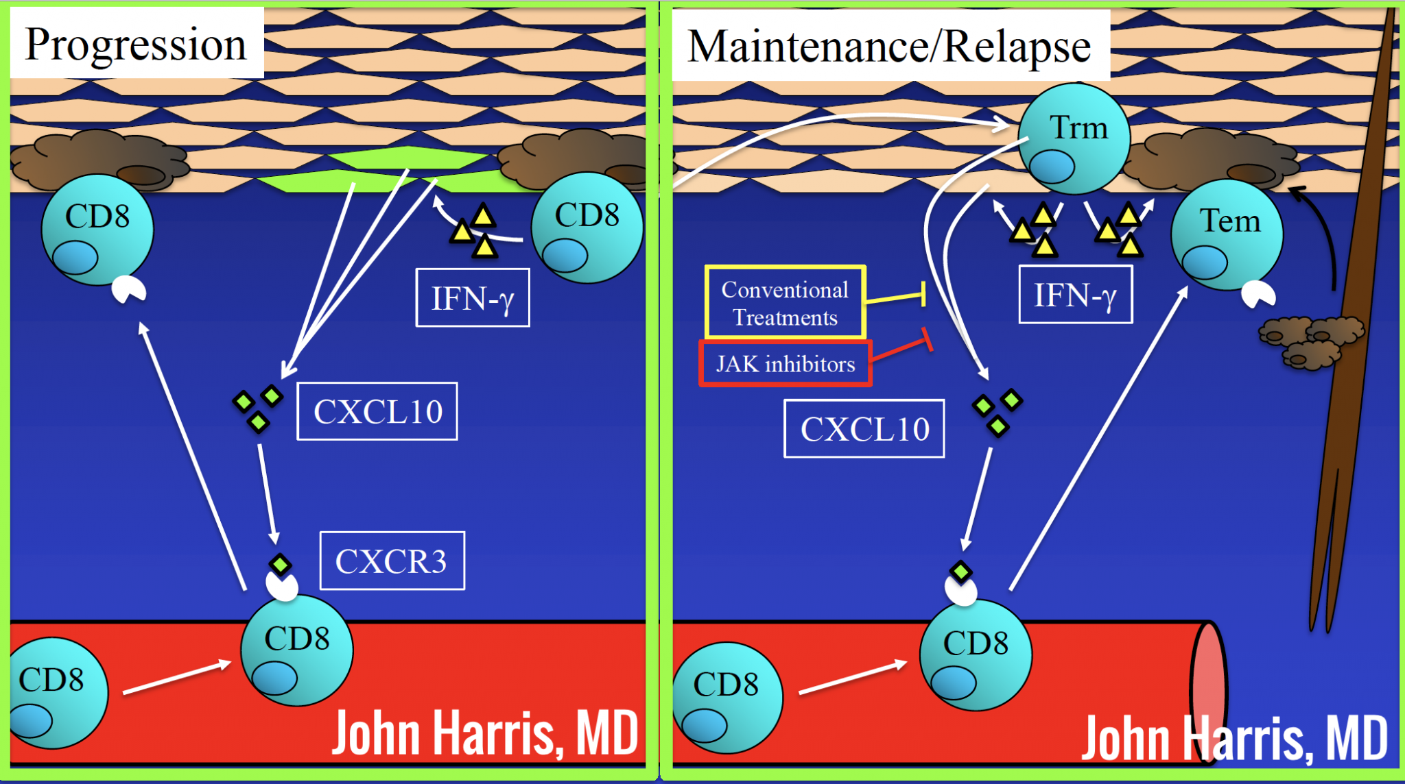 Current and Emerging Management Strategies for Vitiligo - Next Steps in ...