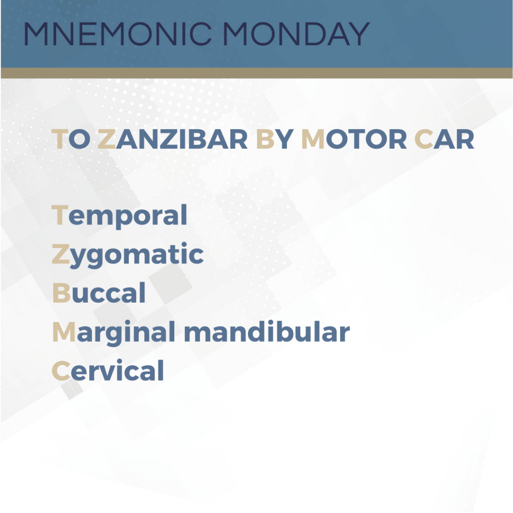 It's Mnemonic Monday! To Zanzibar By Motor Car - Next Steps in Dermatology