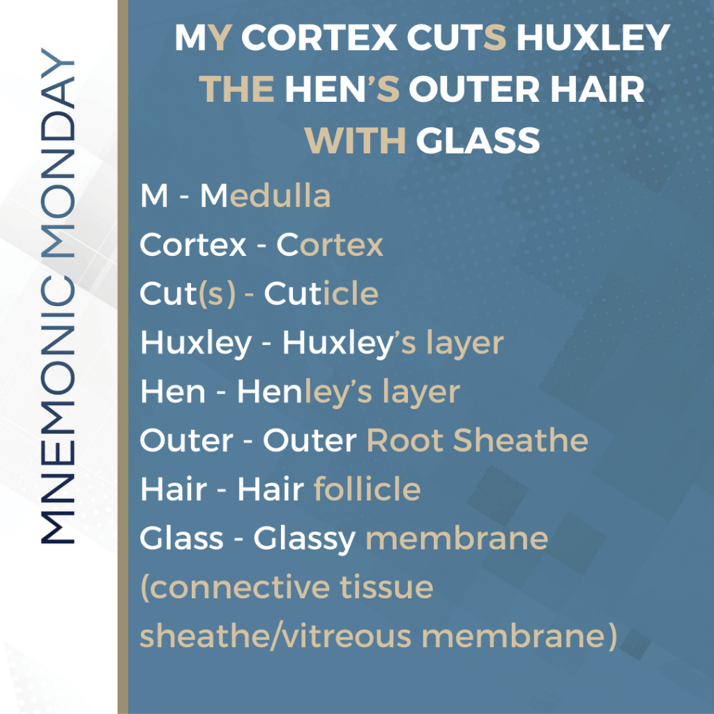 Huxley’s layer Archives - Next Steps in Dermatology