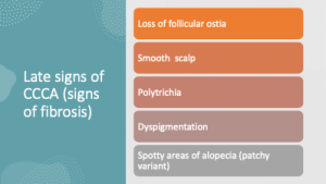 Scarring Hair Loss: CCCA and Androgenetic Alopecia Decoded - Next Steps ...