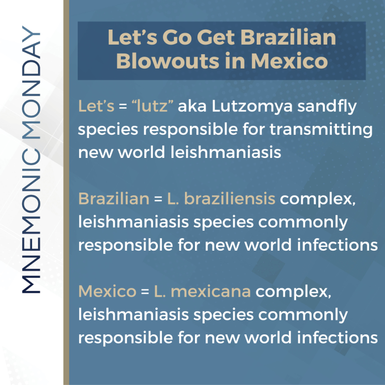 It's Mnemonic Monday! | NEW WORLD leishmaniasis - Next Steps in Dermatology
