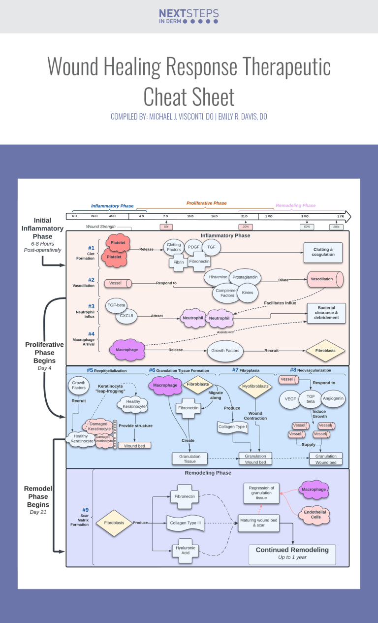 The Wound Healing Response Therapeutic Cheat Sheet - Next Steps in Dermatology